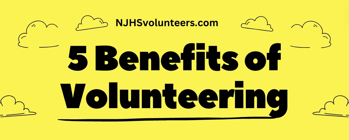10 Popular Volunteer Opportunities For High School Students In New ...